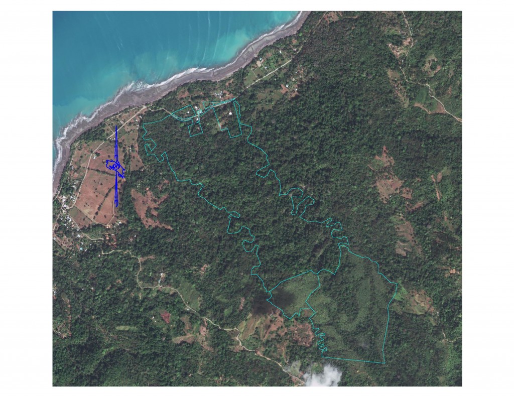 Satellite View | Playa Delfin